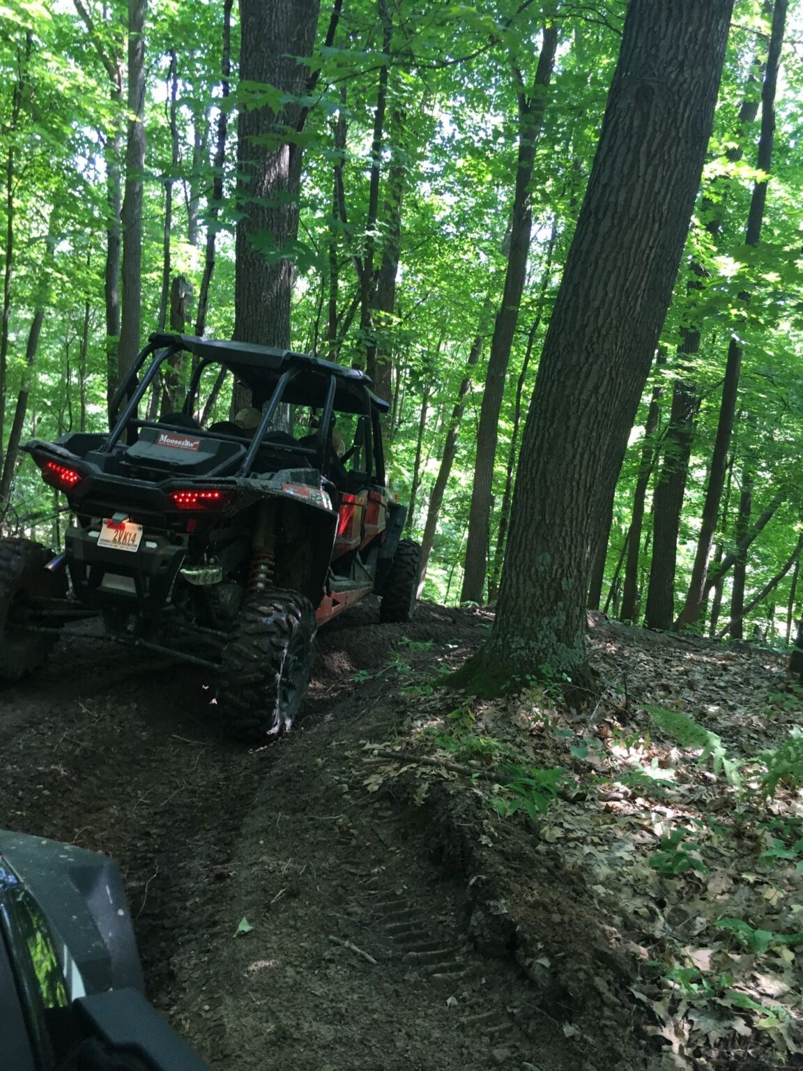 5 Epic Side-by-Side ATV Trails to Explore: Unforgettable Adventures ...
